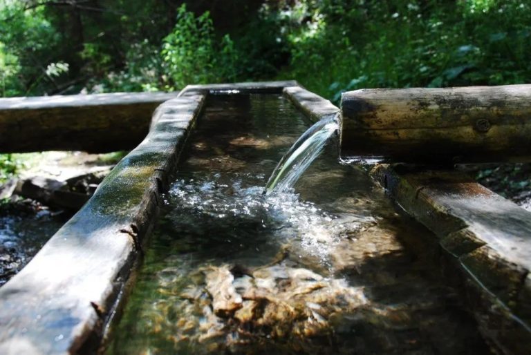 The difference between pure water and mineral water | Roagua
